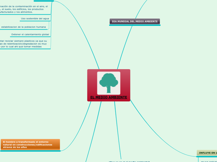 EL MEDIO AMBIENTE - Mind Map